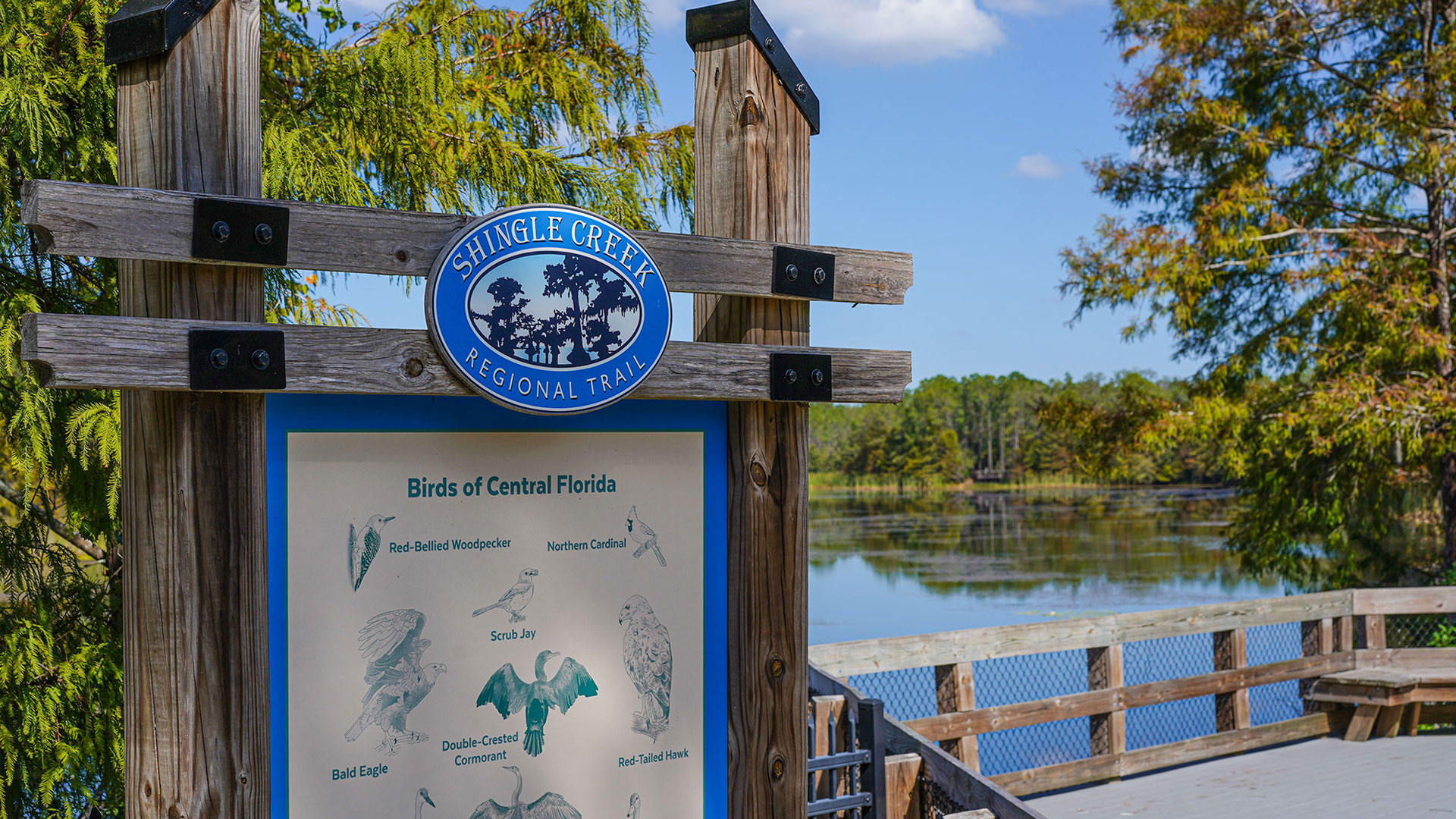 Explore Orlando's Shingle Creek Trail
